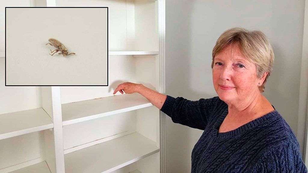 Inger-Anne fikk sjokk da hun fikk de nye og dyre møblene sine