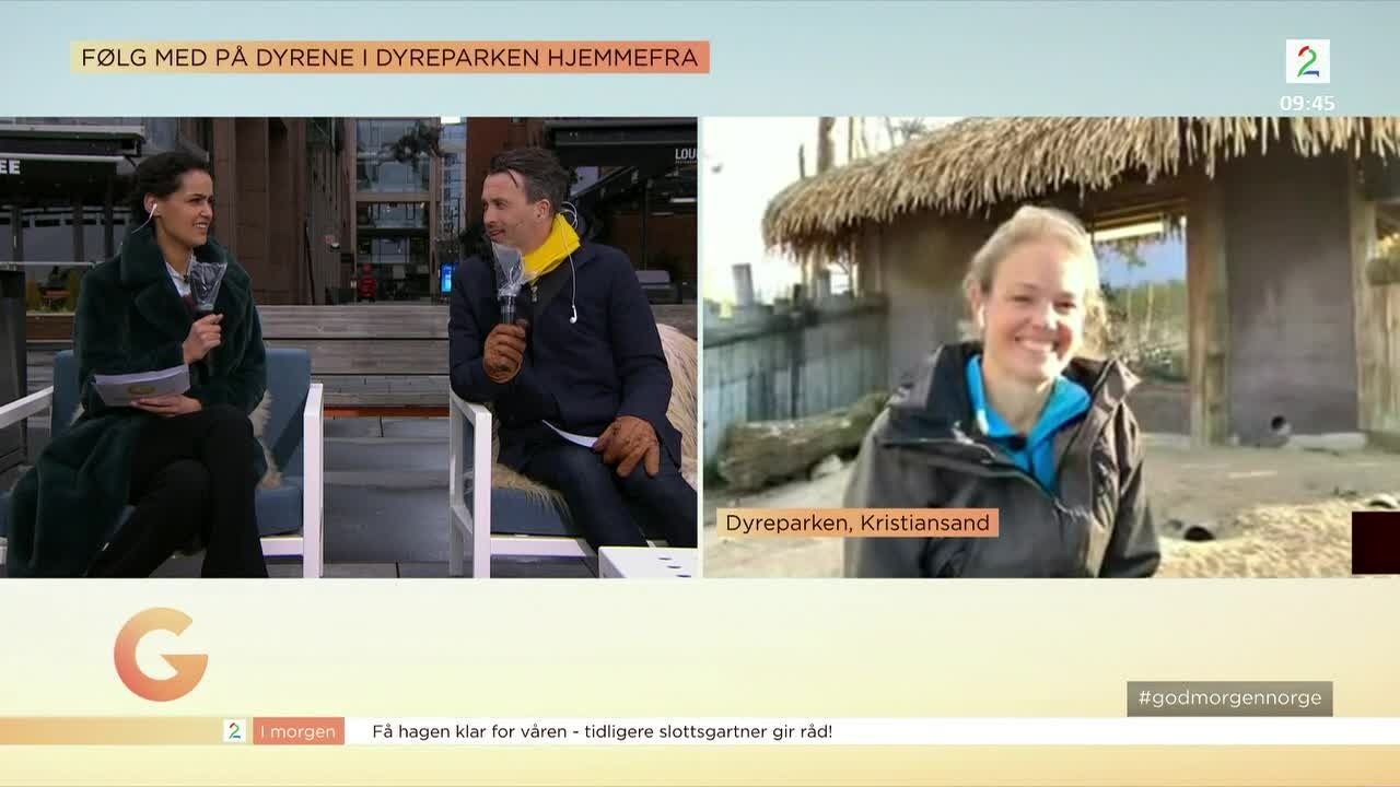 Dyreparken live