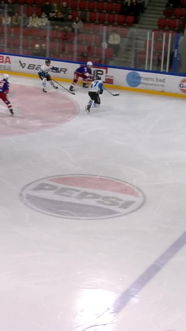 Vålerenga Ishockey Elite - Narvik Ishockeyklubb - Sammendrag